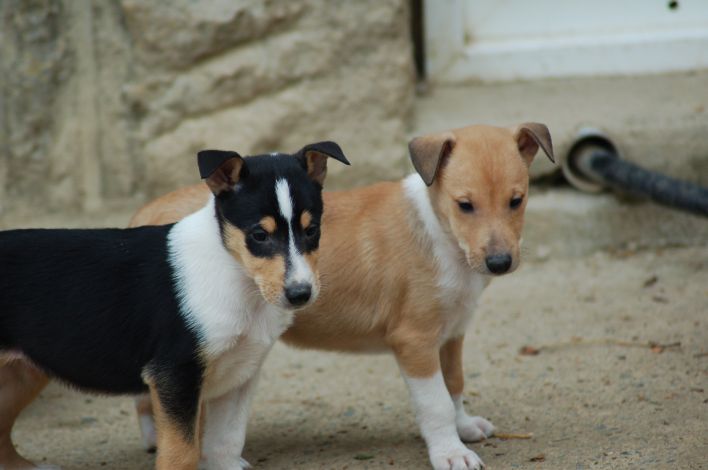 Article du blog : Nouvelles photos des bébés